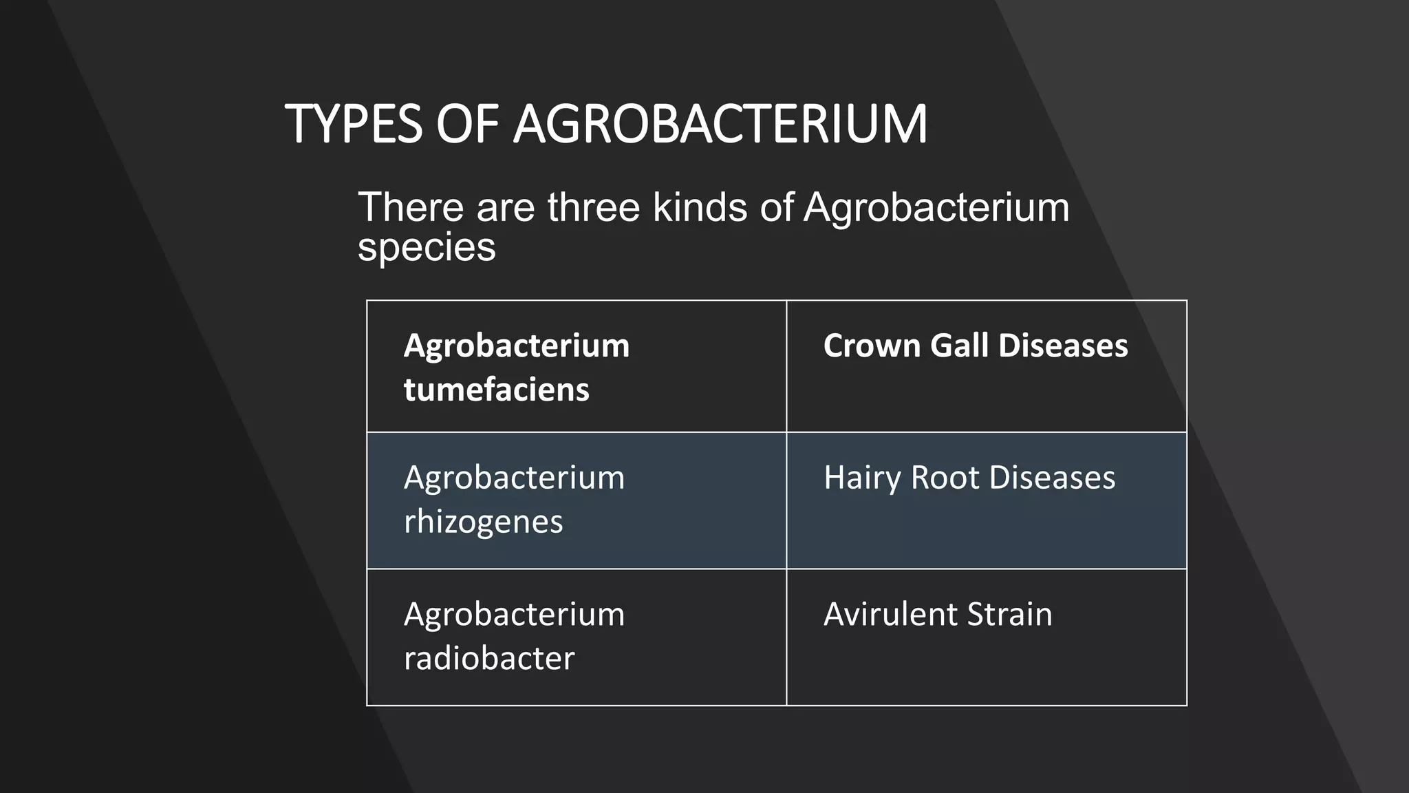 Agrobacterium Mediated Transformation Pptx