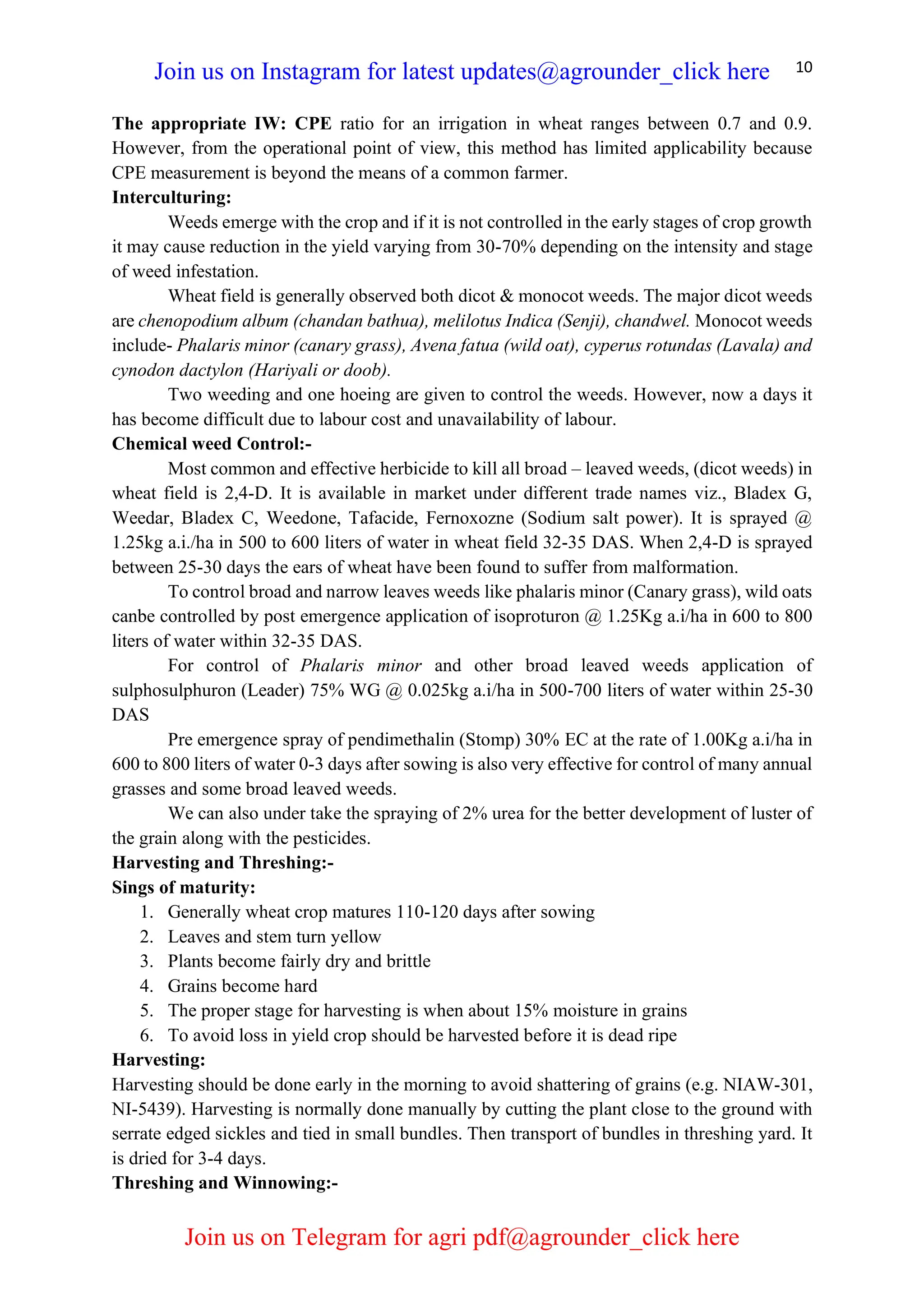 AGRO-246-full notes@agrounder.pdf crop production technology- Rabi | PDF