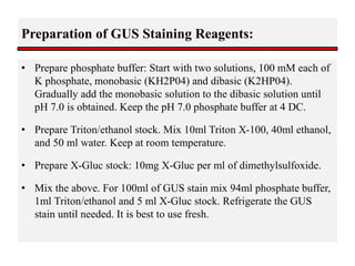 Agro-Bacterium mediated transformation.pptx