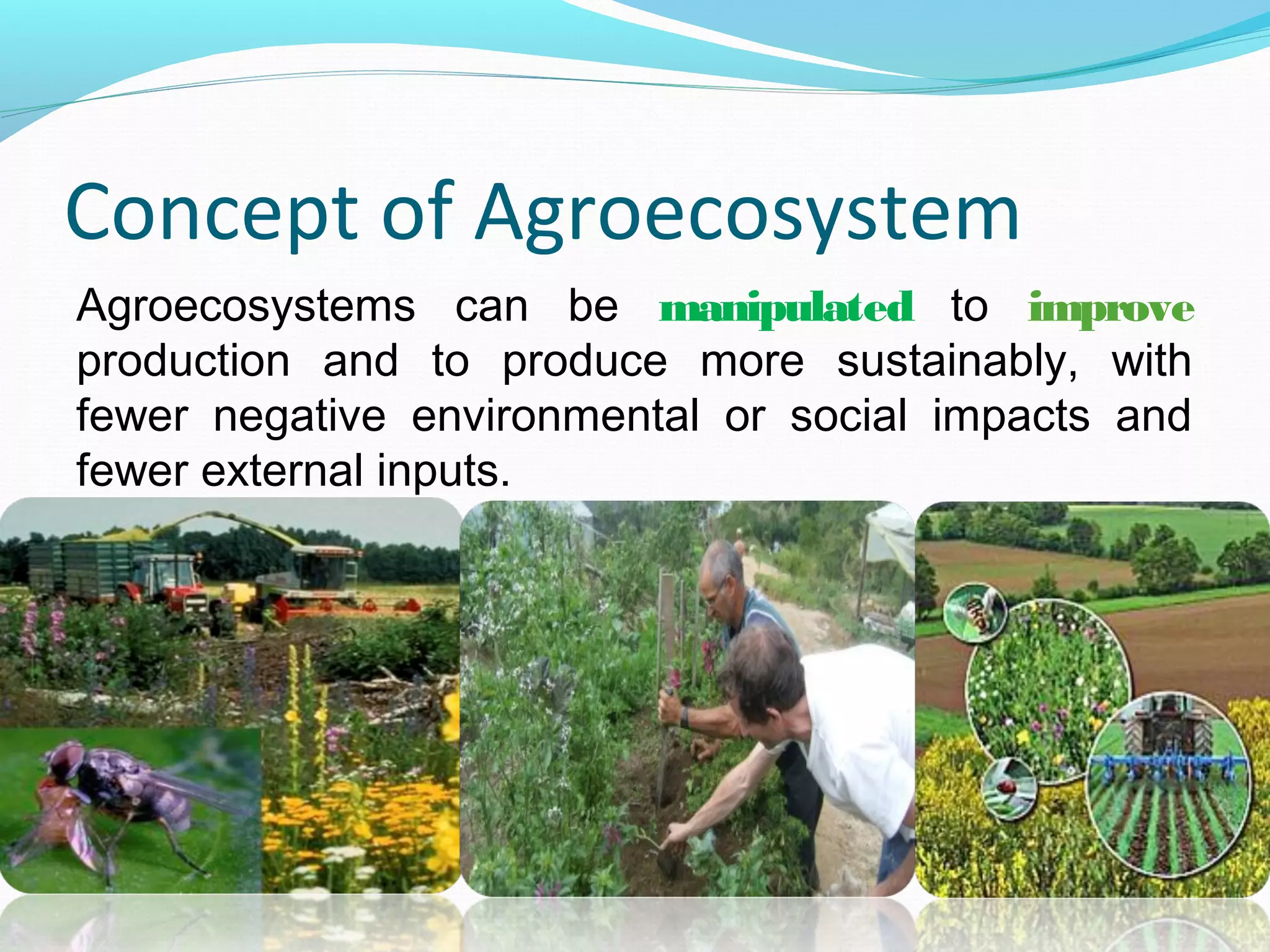 Agro ecology Concept | PPT