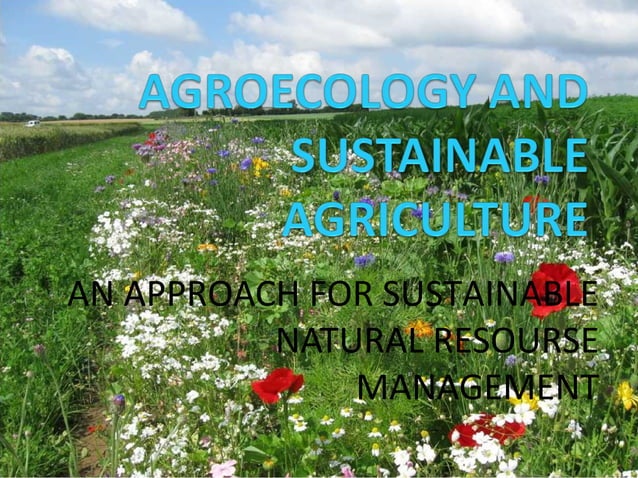 Agro ecology Concept | PPT