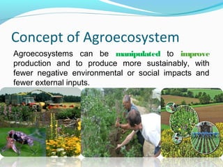 Agro ecology Concept | PPT