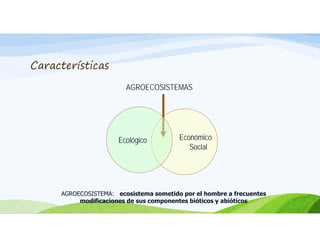 agro-ecosistemas definición caracteristicas y componentes.pdf