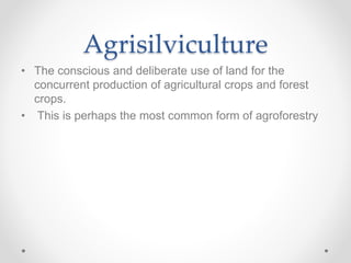 Agro forestry | PPTX