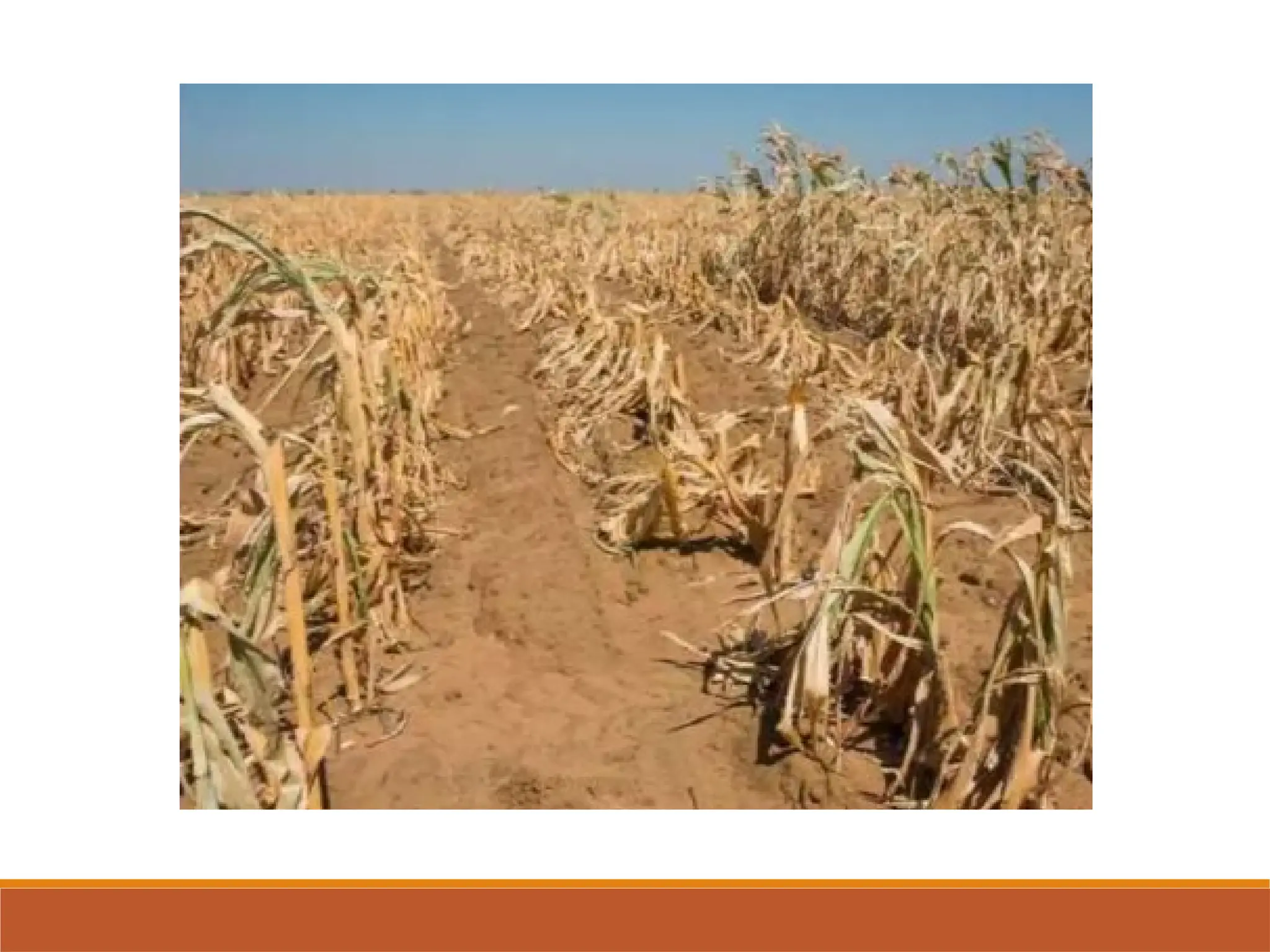 Agro-Mtreology Chapter Seven Drought.pptx