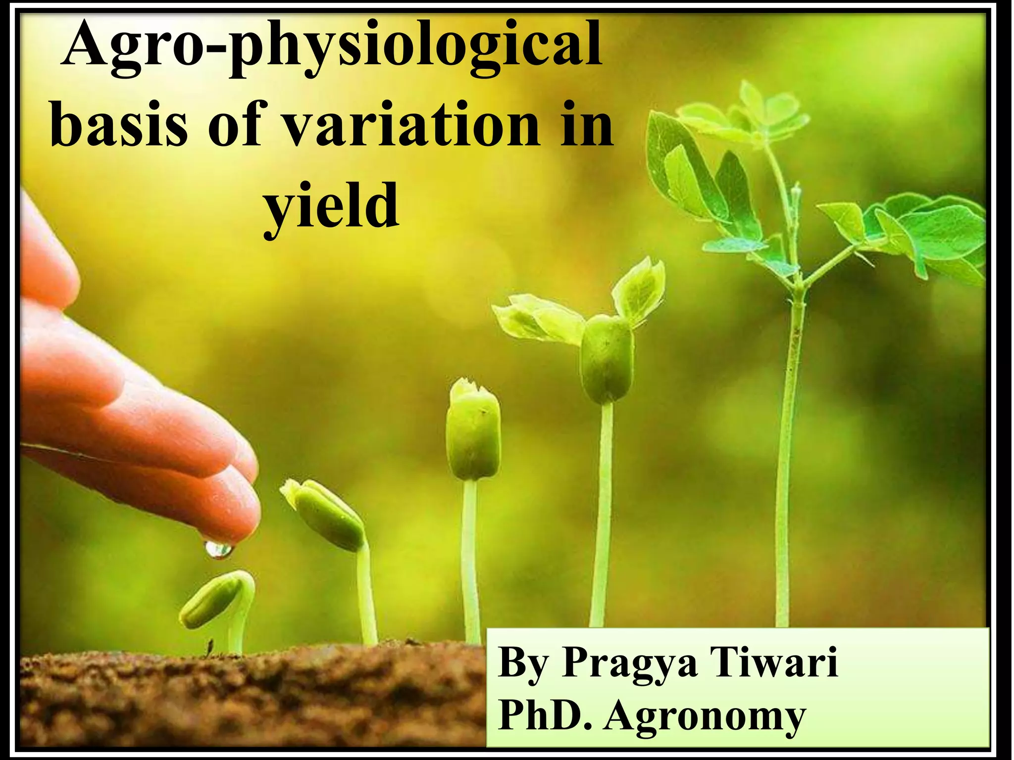 Agro-physiological basis of variation in yield.pptx