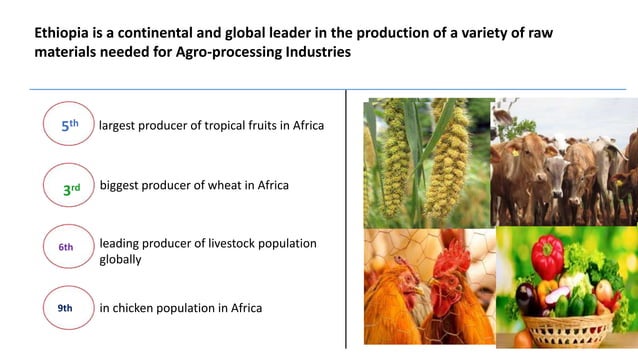 Agro-Processesing.pptx | Agriculture | Industries