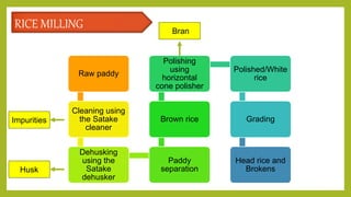 Agro-processing complex | PPTX
