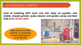 Agro-processing complex | PPTX