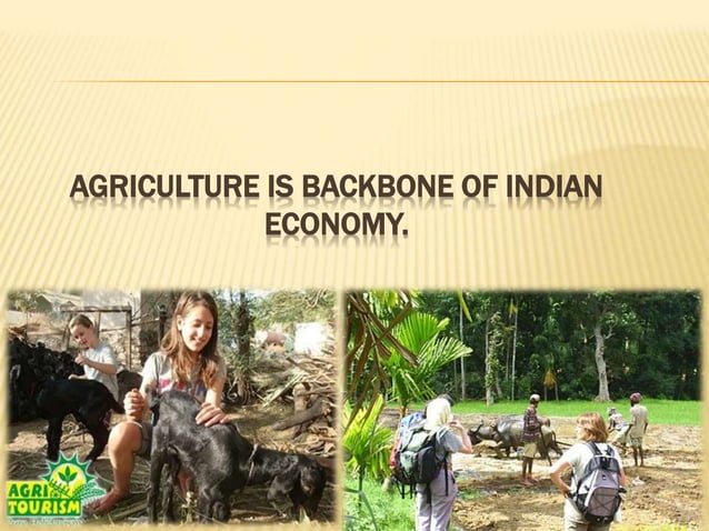 Agro tourism scope and opportunities for the farmers in india by vinay ...