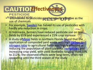 Pesticide Pollution | PPTX