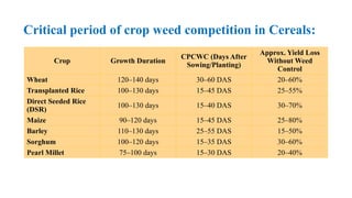Assessment of Critical period of Crop Weed Competition in different ...