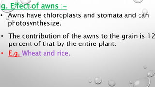AGRO 5321(Durgesh kumar) presentation.pptx