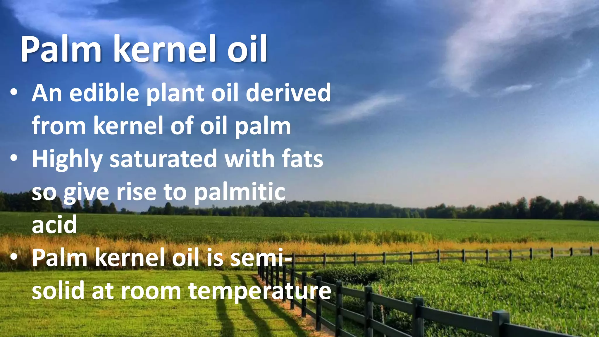 Oil seed crops | PPTX