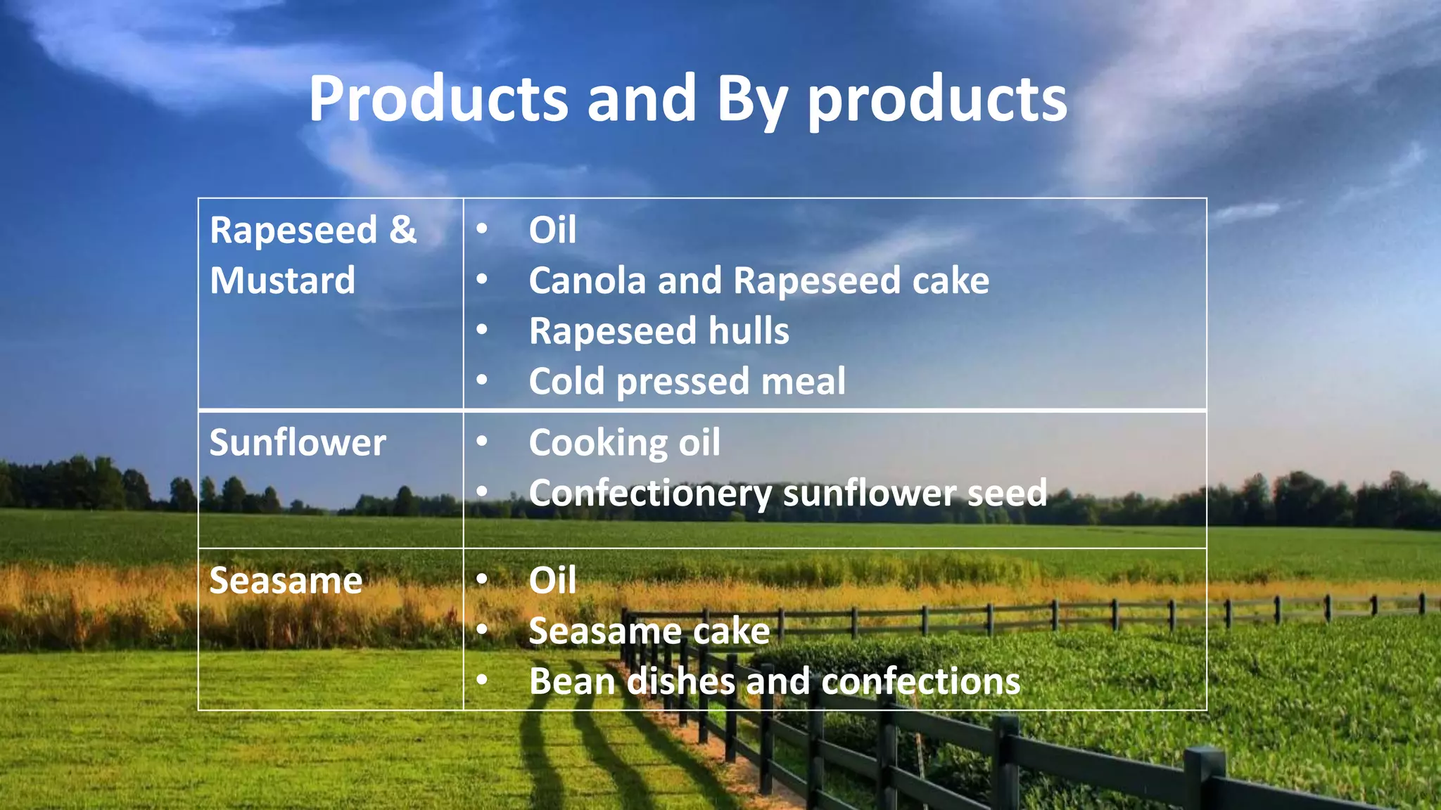 Oil seed crops | PPTX