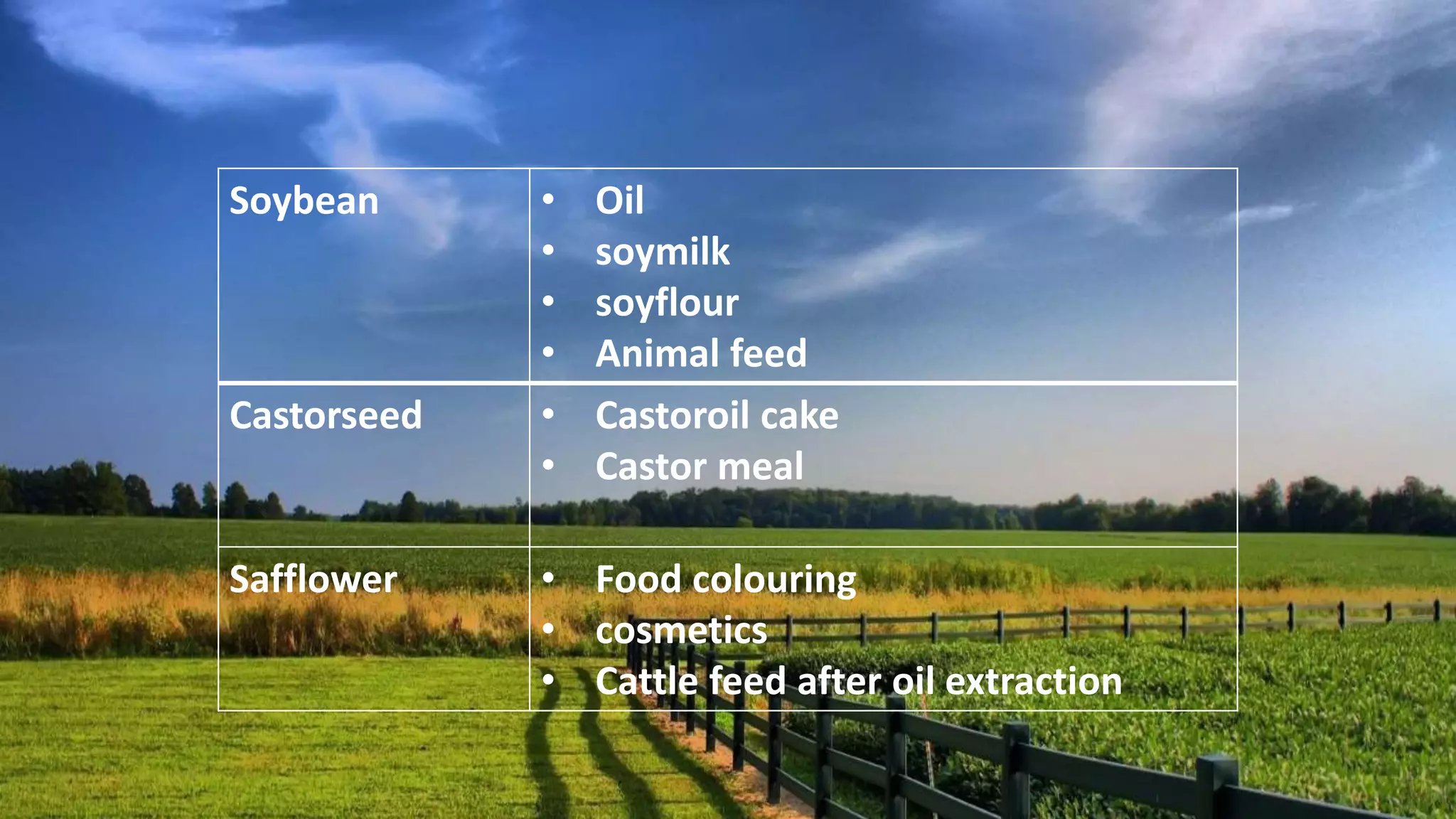 Oil seed crops | PPTX
