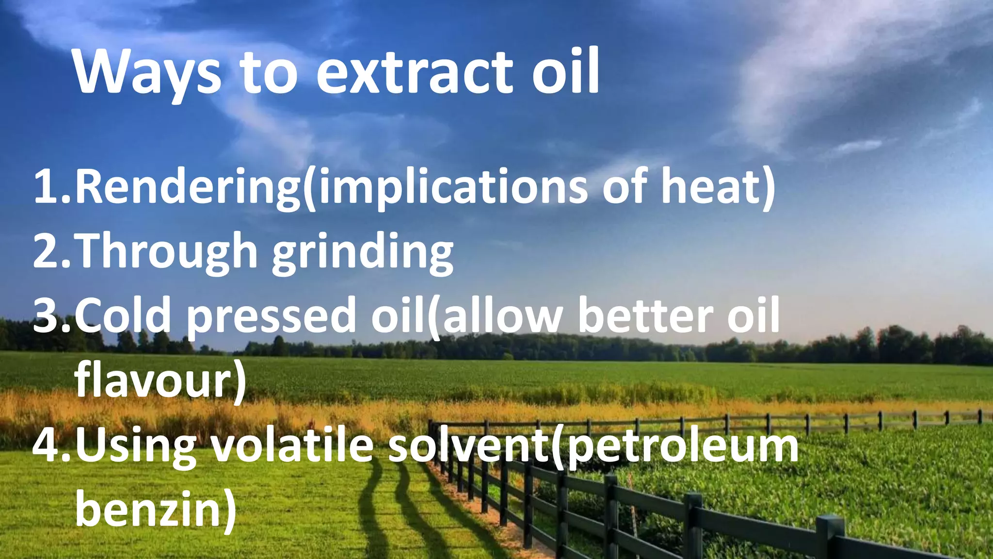 Oil seed crops | PPTX