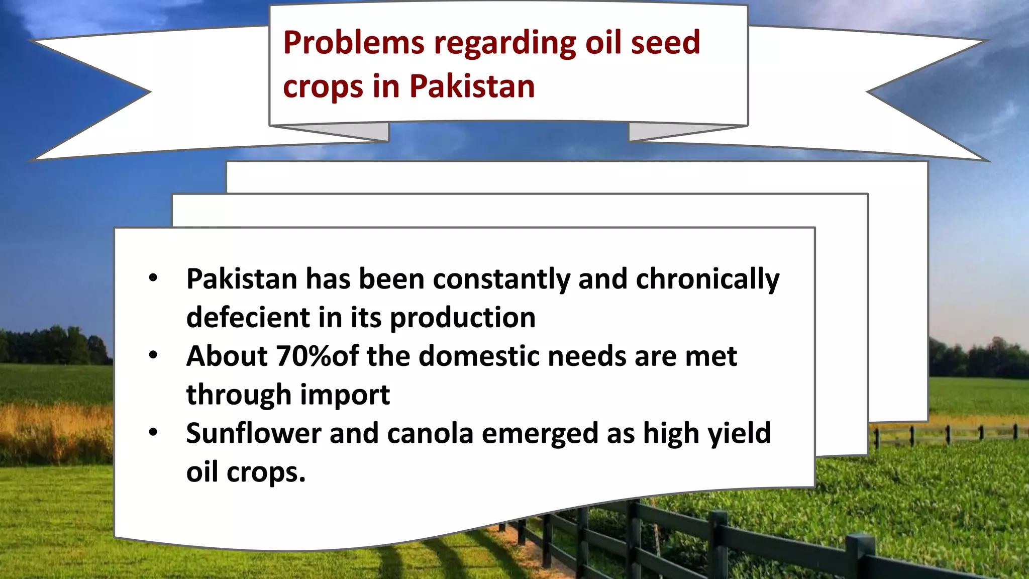 Oil seed crops | PPTX