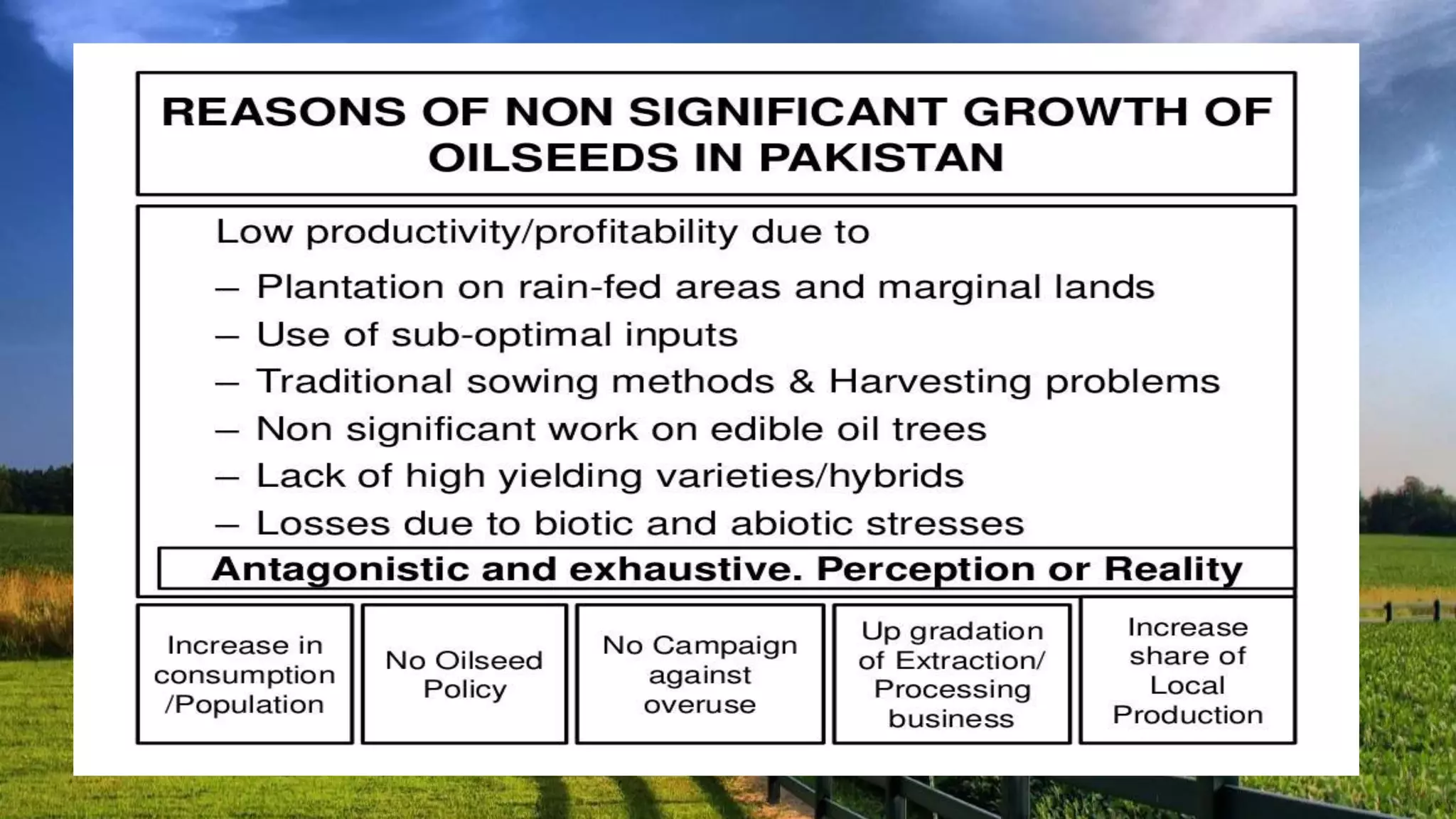 Oil seed crops | PPTX