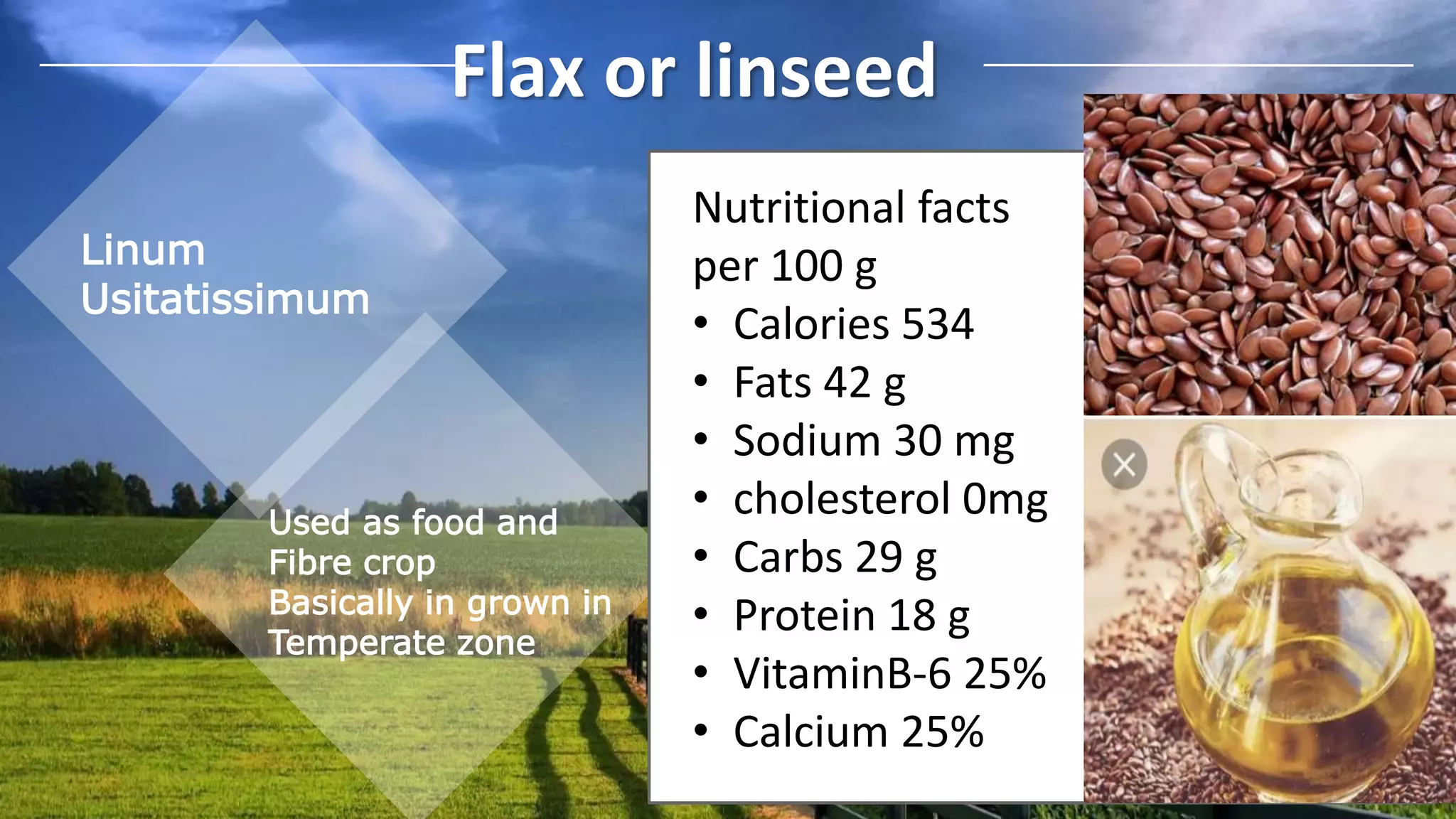 Oil seed crops | PPTX