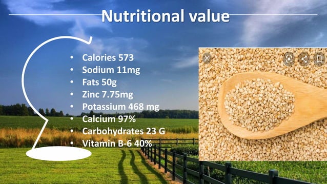Oil seed crops | PPTX