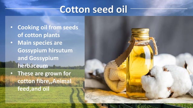 Oil seed crops | PPTX
