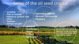 Oil seed crops | PPTX