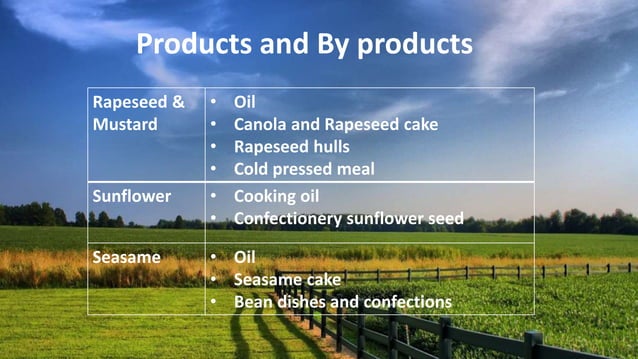 Oil seed crops | PPTX