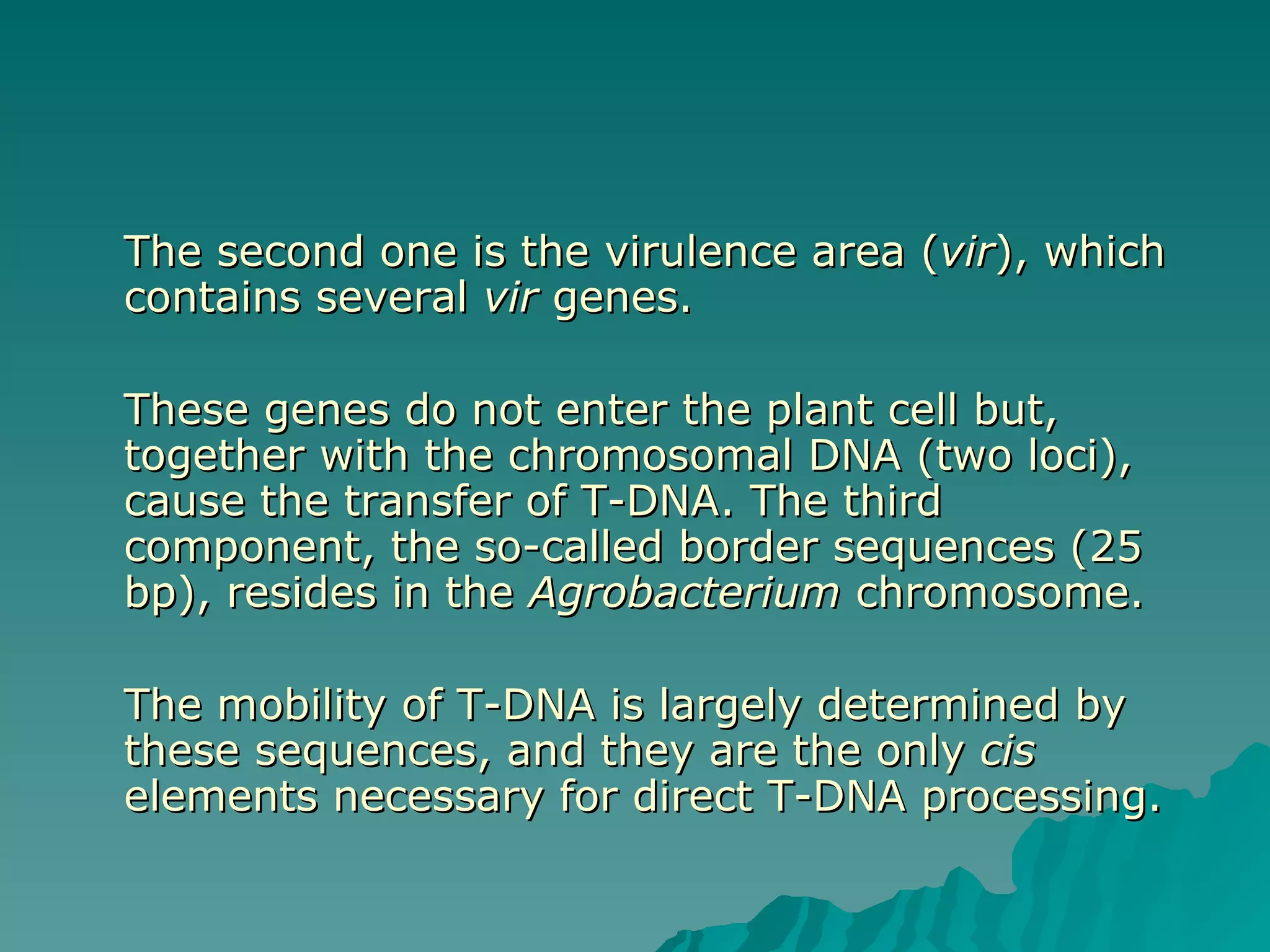 Agrobacterium | PPT