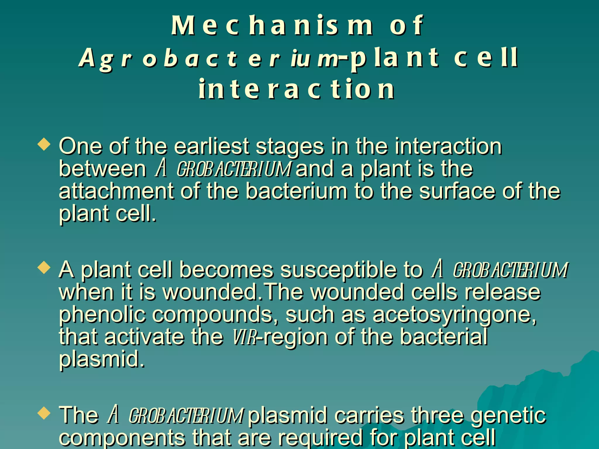 Agrobacterium | PPT