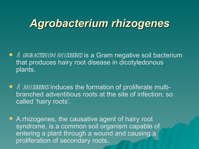 Agrobacterium | PPT | Biological Sciences | Science