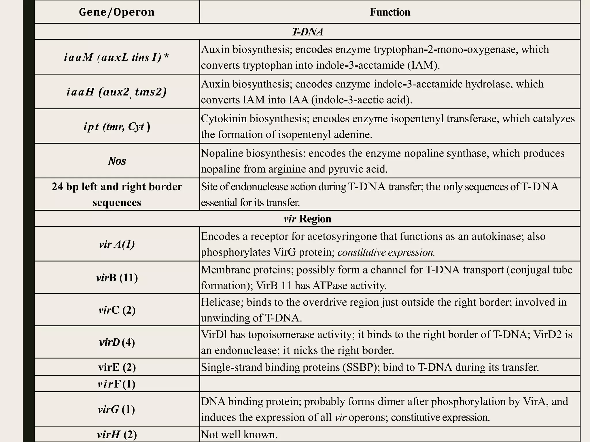 Agrobacterium tumefaciens | PPTX