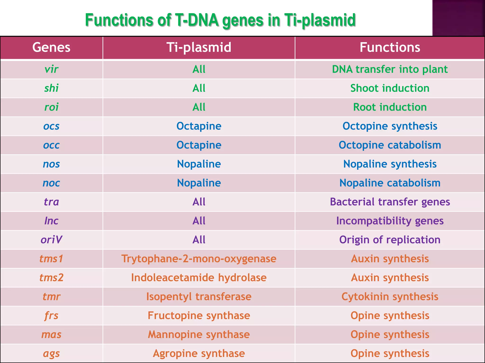 Agrobacterium-mediated Gene Transfer | PPTX