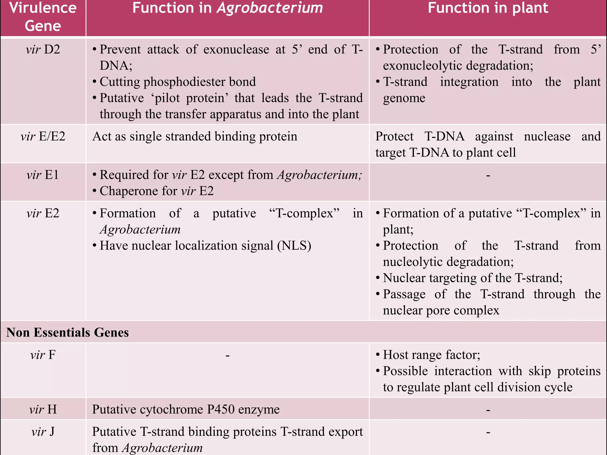 Agrobacterium-mediated Gene Transfer | PPTX
