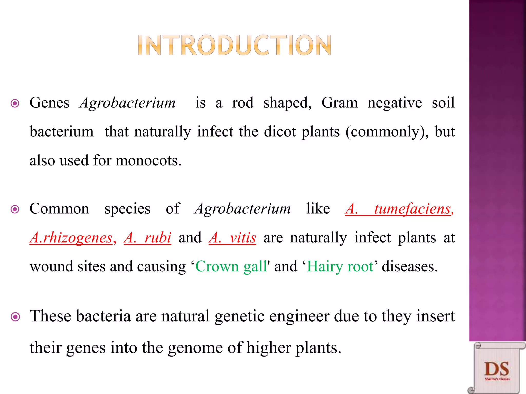Agrobacterium-mediated Gene Transfer | PPTX