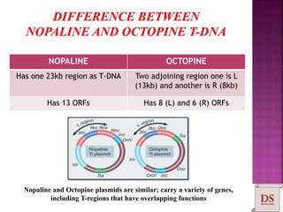 Agrobacterium-mediated Gene Transfer | PPTX