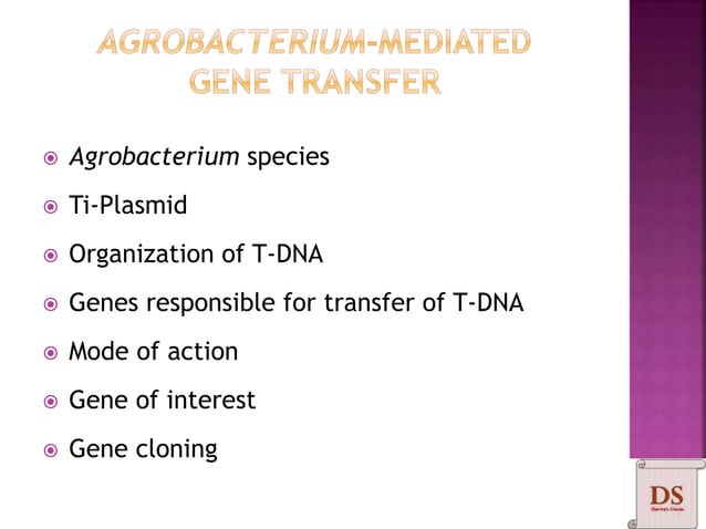 Agrobacterium Mediated Gene Transfer Pptx