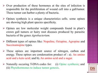 agrobacterium-mediatedgenetransfer-200528100800 (1).pptx