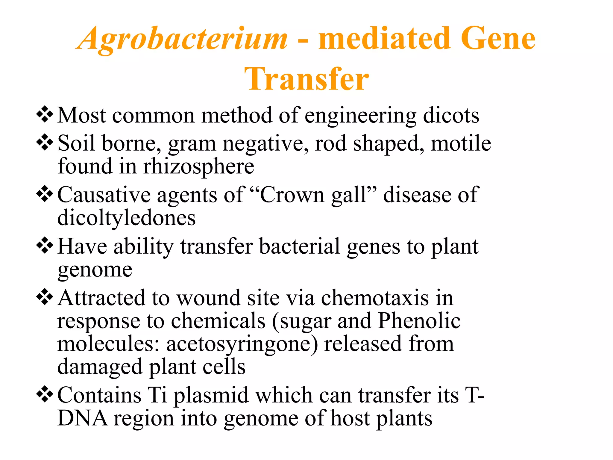 Agrobacterium - mediated Gene Transfer old.pptx