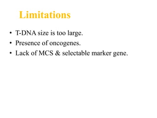 Agrobacterium - mediated Gene Transfer old.pptx