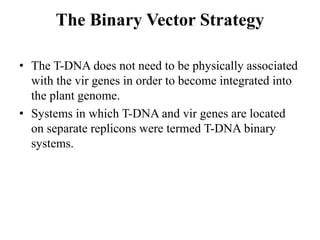 Agrobacterium - mediated Gene Transfer old.pptx