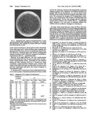 Agrobacterium Tumefaciens Mediated Transformation Of Arabidopsis | PDF