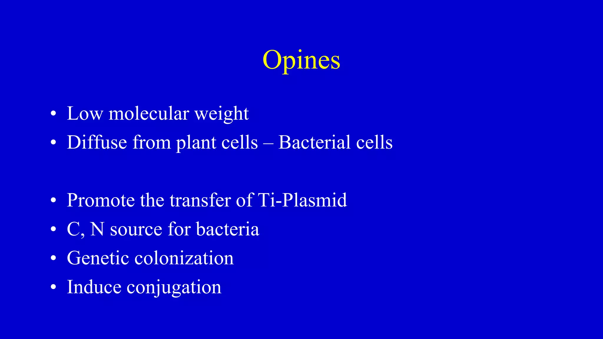 Agrobacterium Infection.ppt