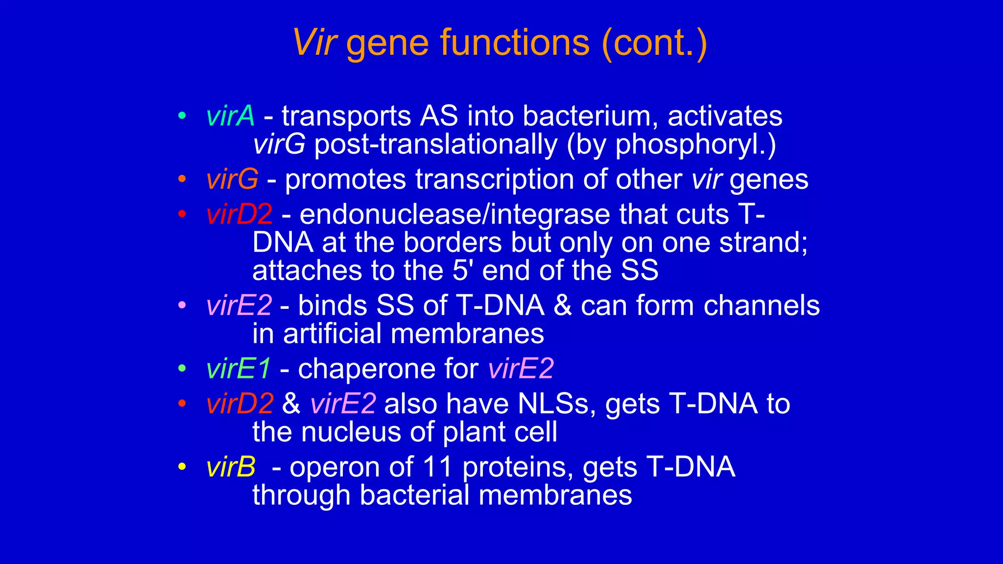 Agrobacterium Infection.ppt