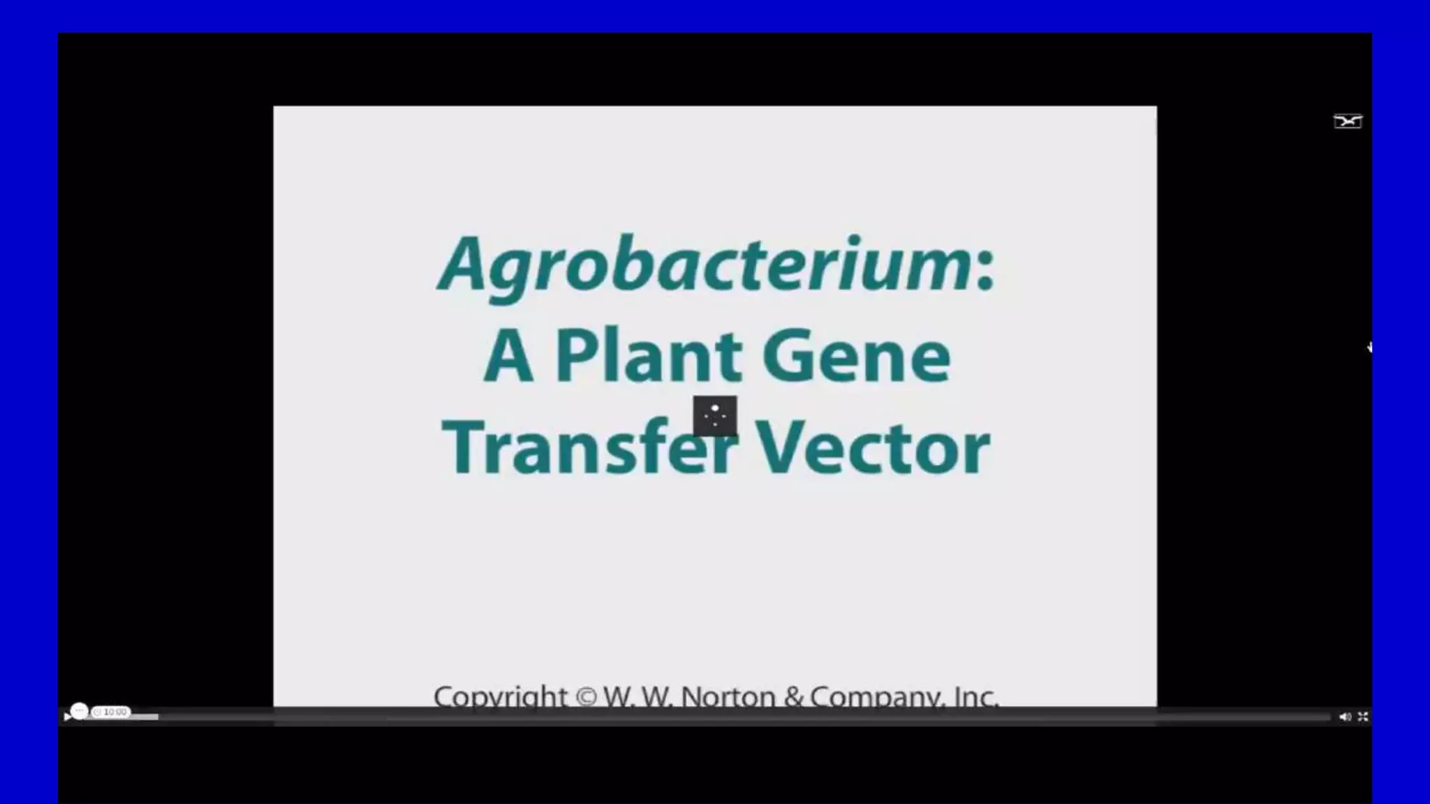 Agrobacterium Infection.ppt