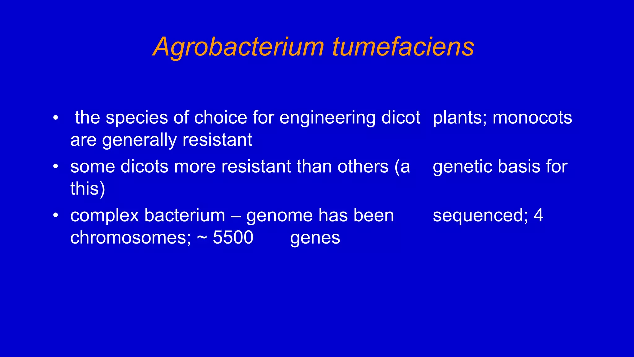 Agrobacterium Infection.ppt