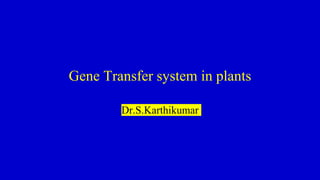 Agrobacterium Infection.ppt