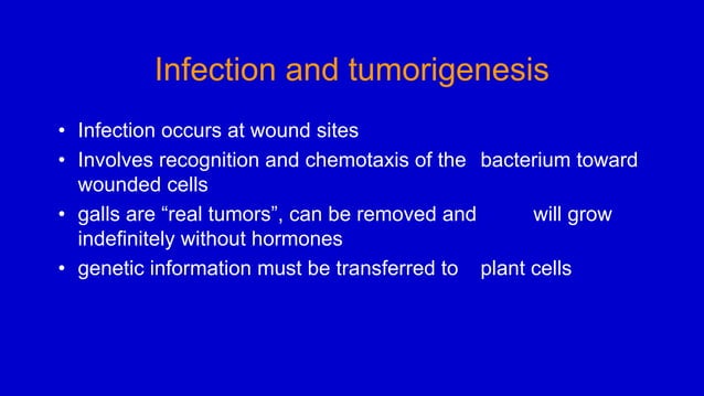Agrobacterium Infection.ppt | Gardening | Home & Garden