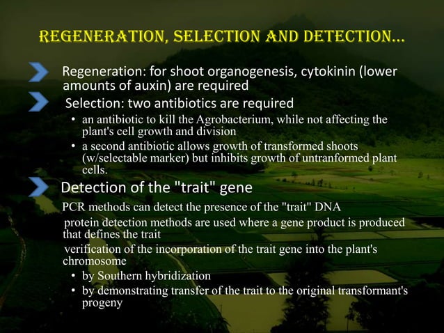 Agrobacterium mediated gene transfer | PPTX | Genetics | Science