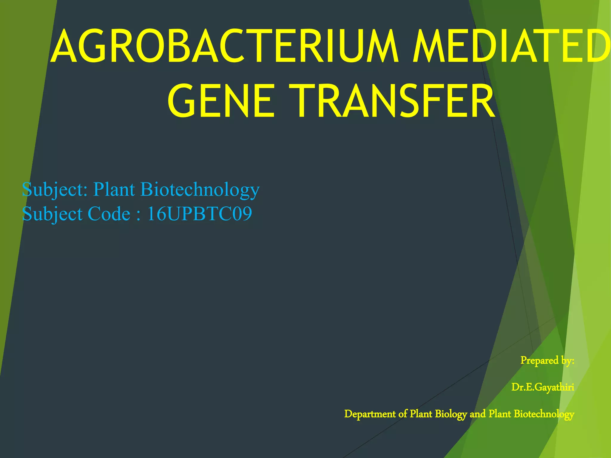 Agrobacterium mediated gene transfer | PPTX